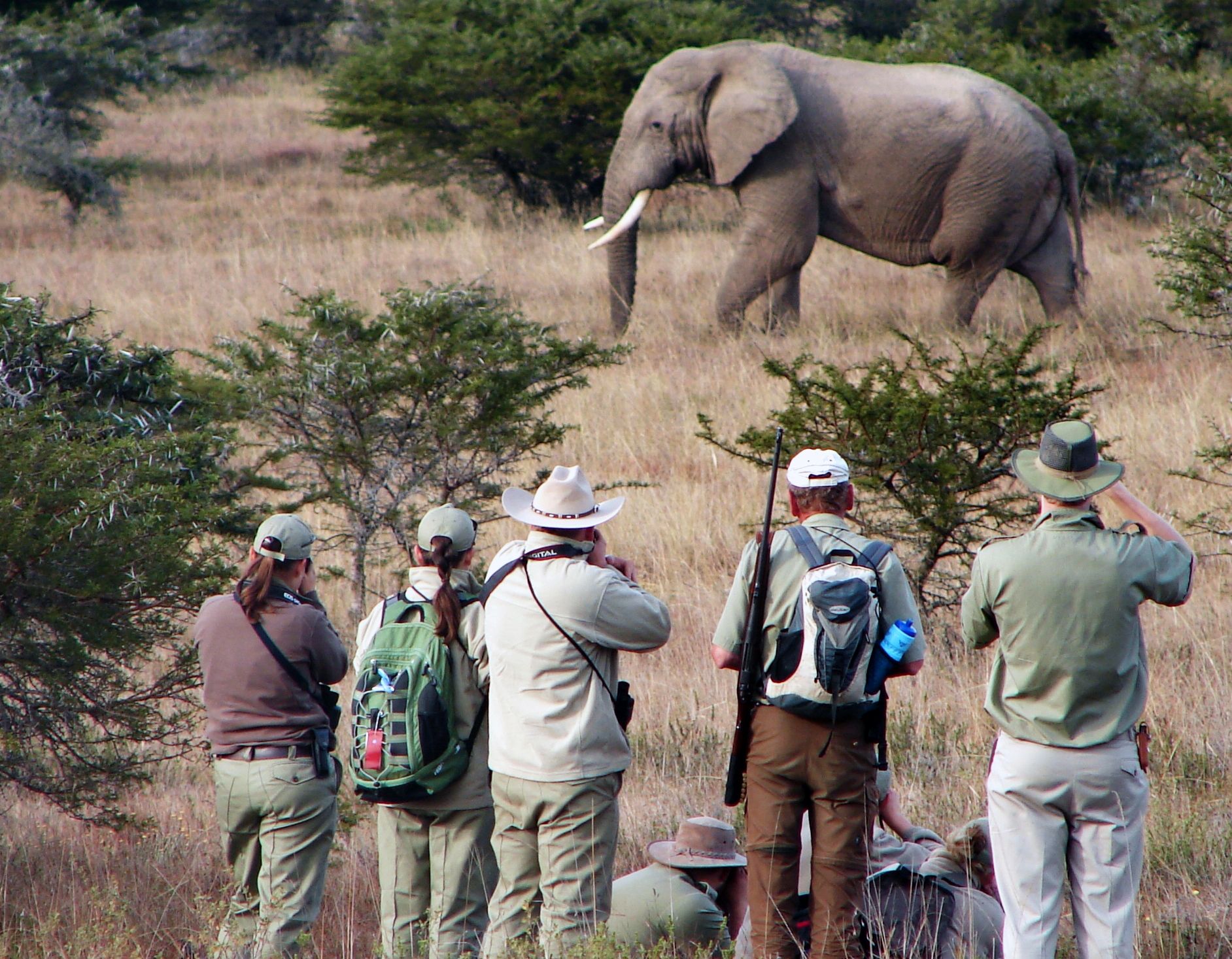 Apprentice Trails Guide Eastern Cape, South Africa ⋅ Natucate