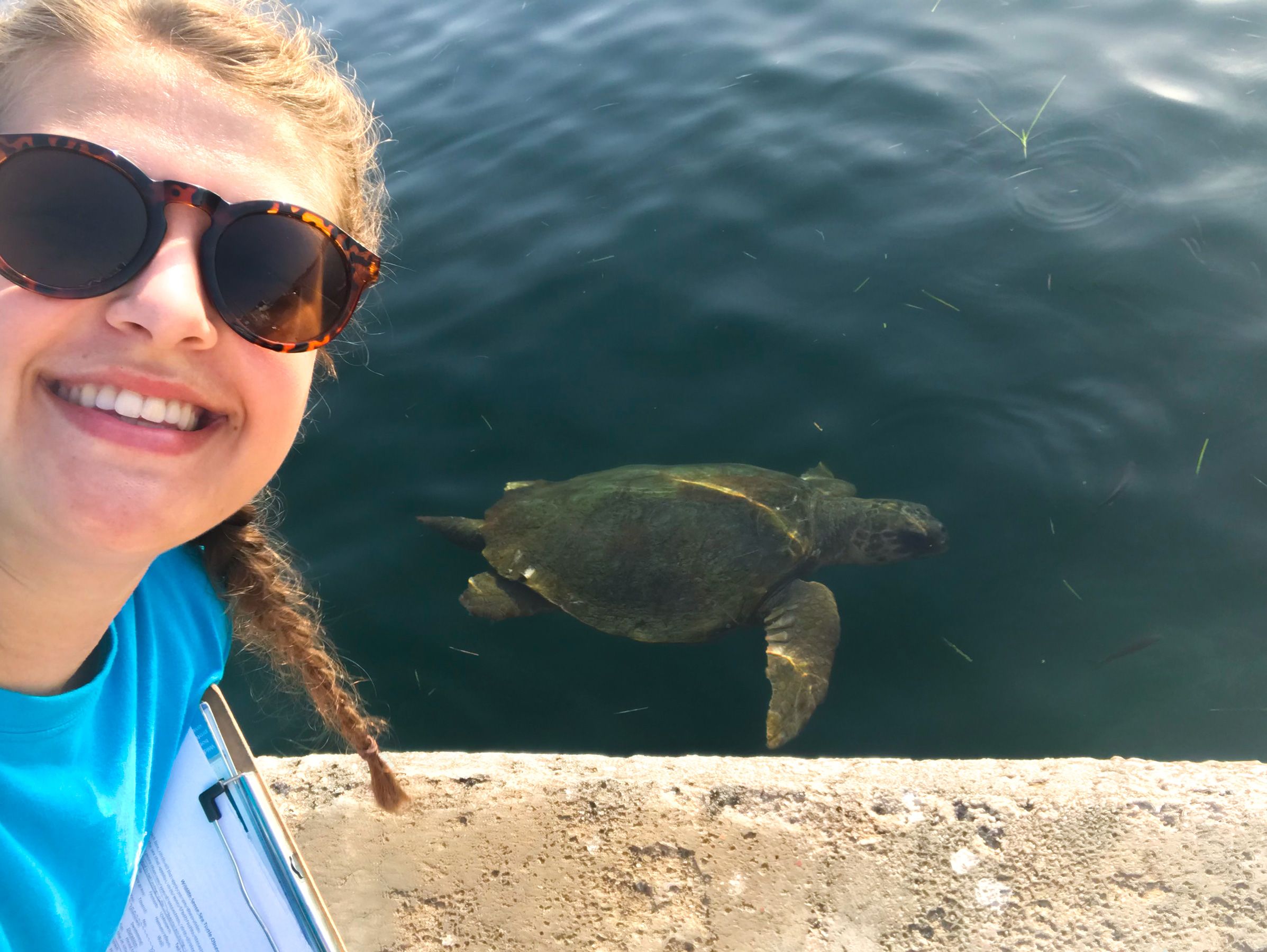 Volunteering in Greece – Sea Turtle Conservation ⋅ Natucate
