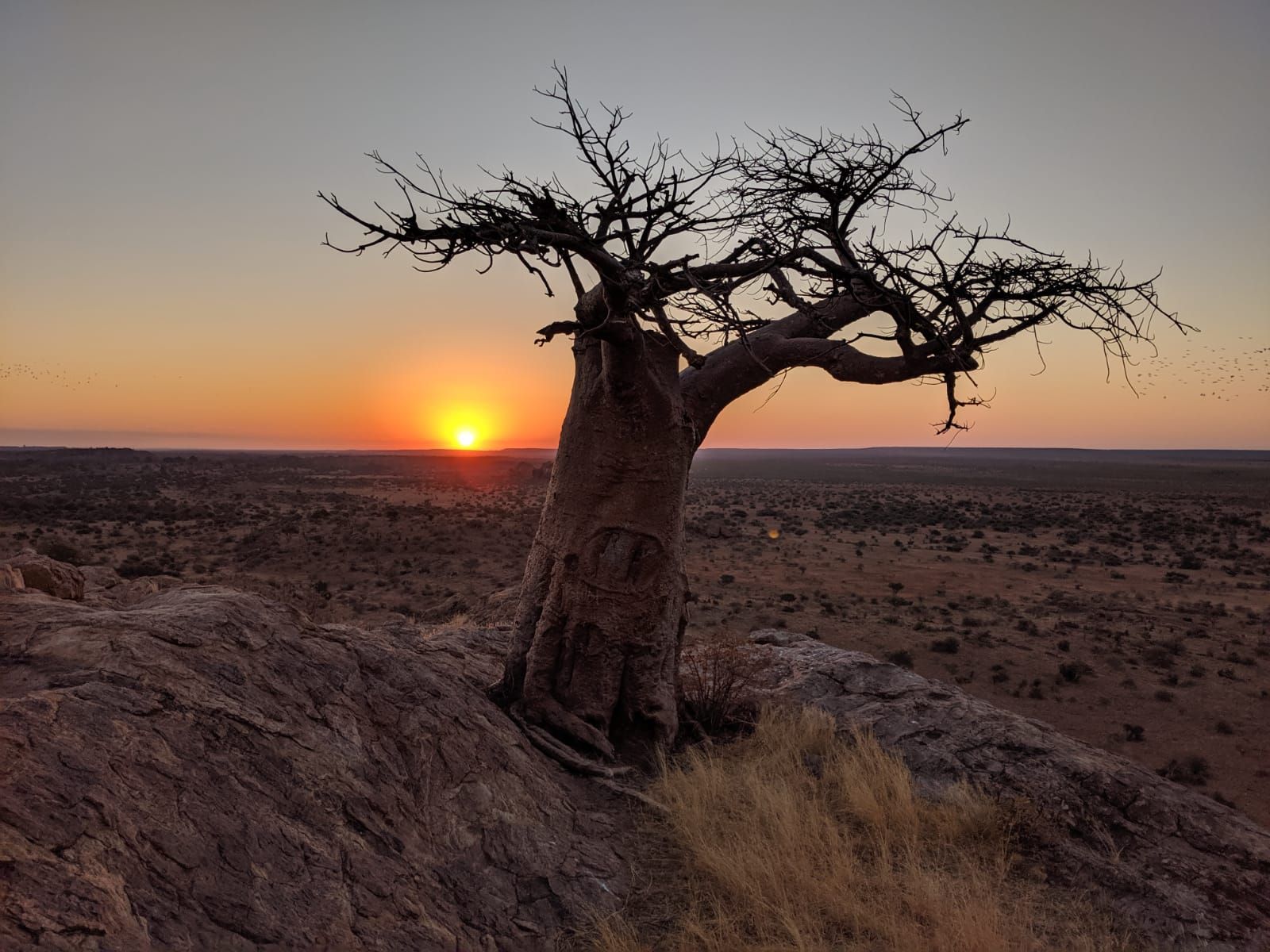 Natucate Blog – Botswana: Mashatu ⋅ Natucate