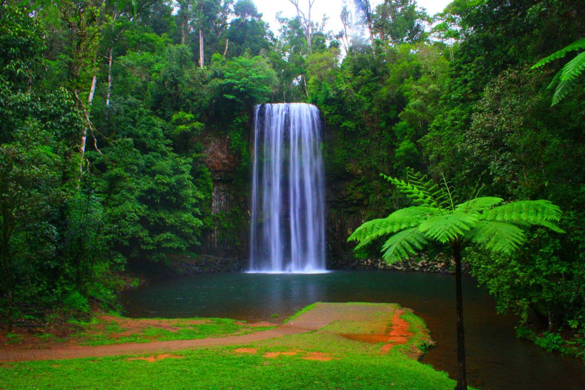 Volunteer Australia – Conservation Wet Tropics ⋅ Natucate