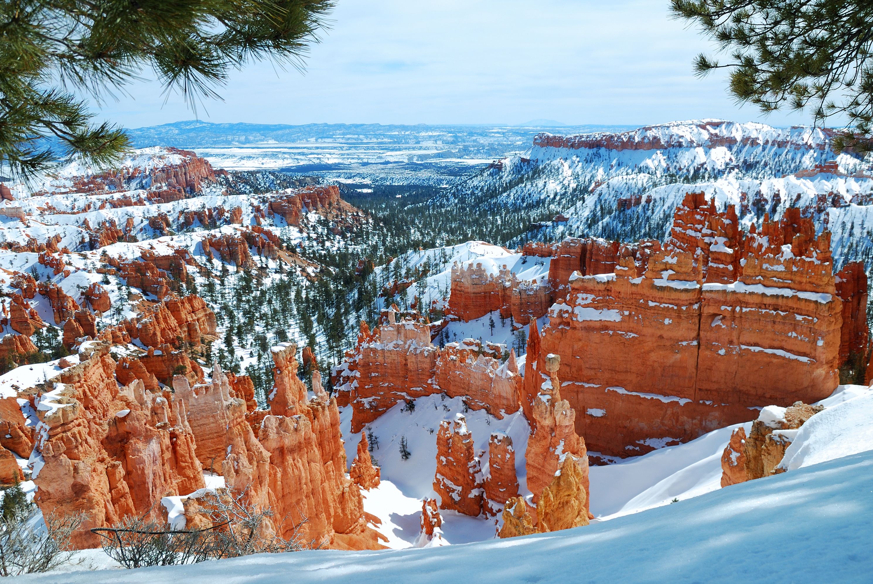 Volunteering USA – Bryce Canyon Conservation ⋅ Natucate